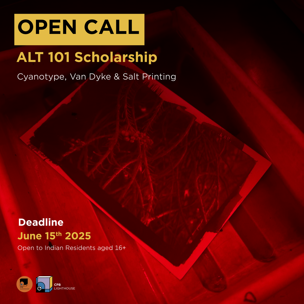 ALT 101 - A Contact Printing Workshop – CPB Foundation